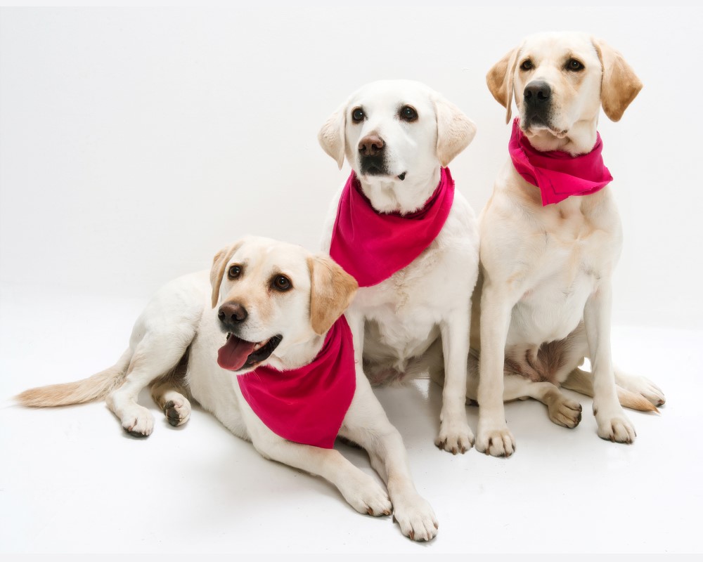 Child Portrait Photography by David Moore Photography, Trim, Co. Meath